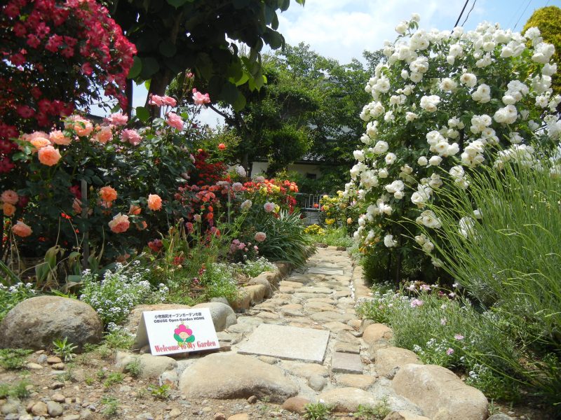 About Obuse | OBUSE GUIDE